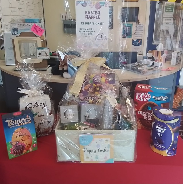 RSPCA West Dorset Branch Taylors Rehoming Centre